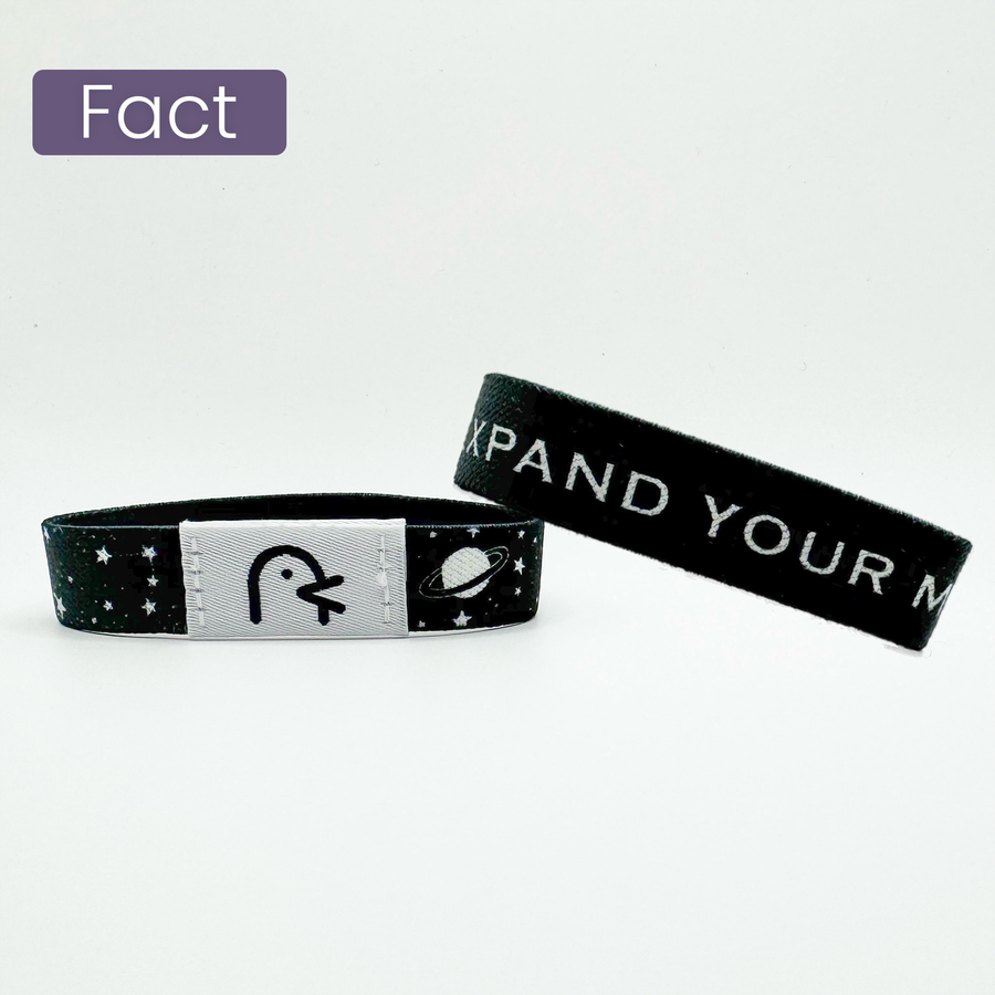 All Products – Yappy - Bracelets That Speak
